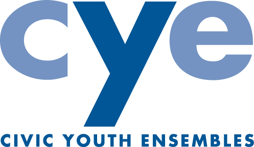 CYE Collection – shopdso